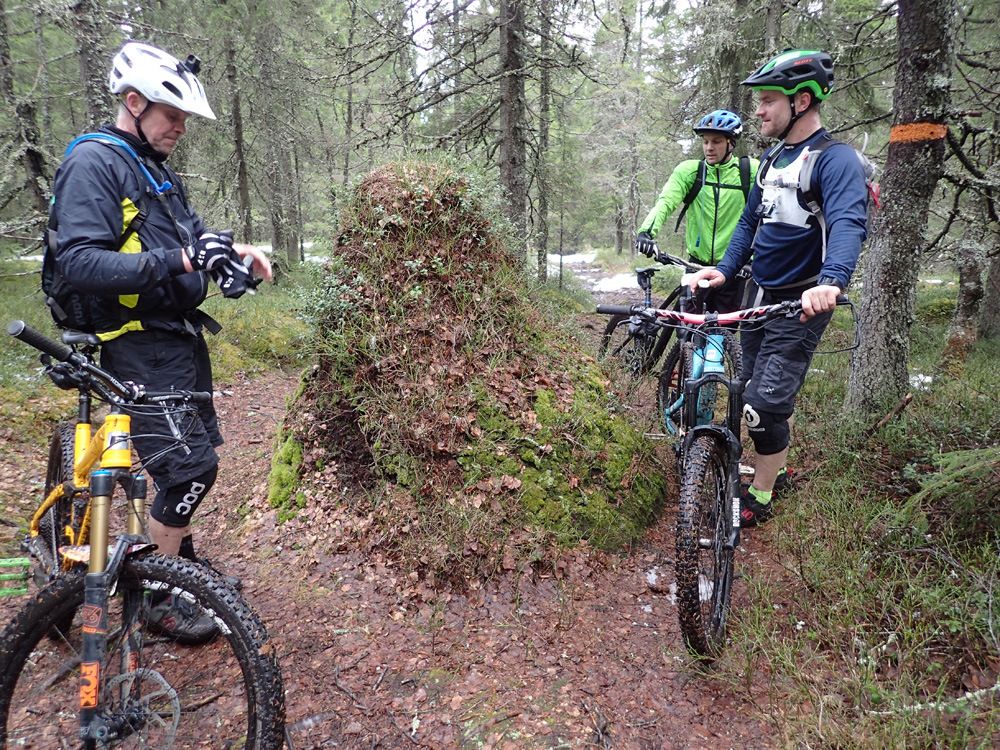 [RR] Muppar i urskogen | Happyride