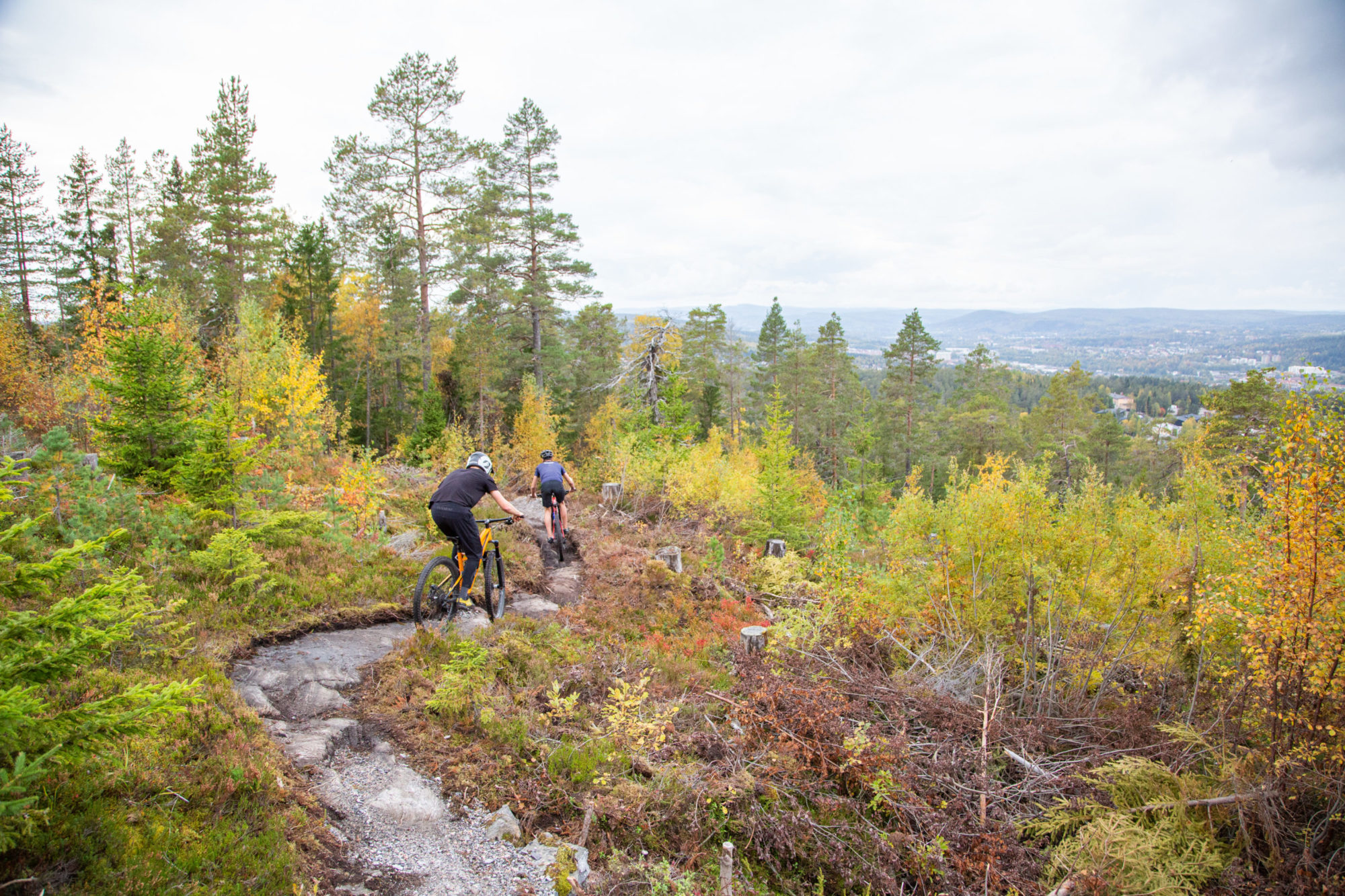 Södra Berget Bike Arena i Sundsvall lockar med stigcykling för alla ...